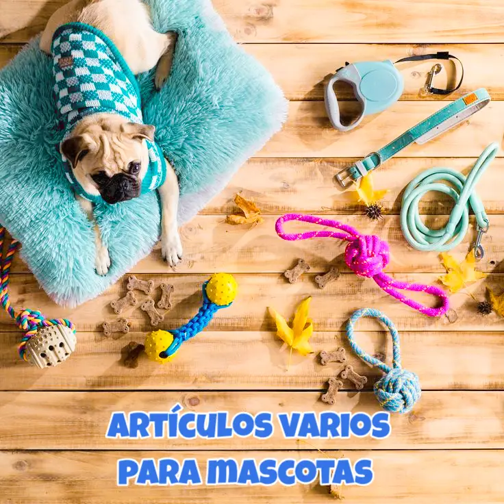 Artículos para mascotas | Mundo Mascota Habana